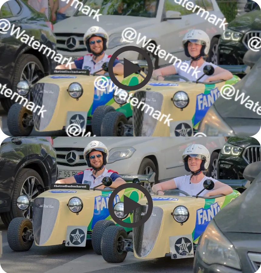 Video Watermark Remover